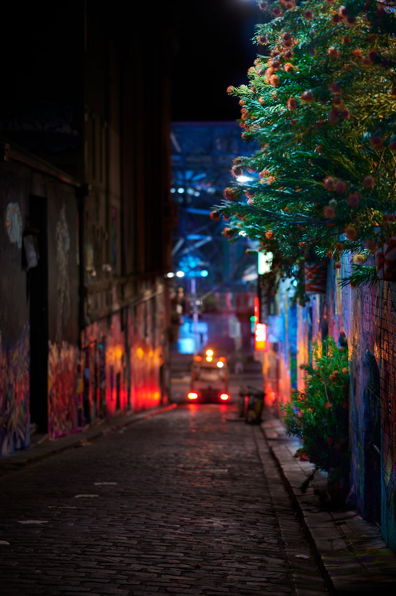 Full Bloom – matt irwin